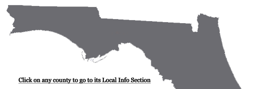Local Info